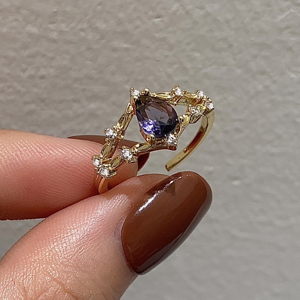 Flash French Style Exquisite Light Luxury Forefinger Rings – Nutricaodiaria